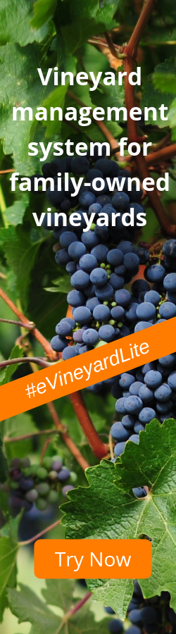 Annual cycle of the grapevine, and vineyard maintenance activities | eVineyard blog