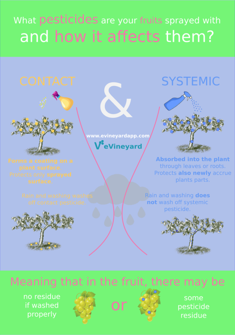Pesticide use, and their impact on fruits – eVineyard blog