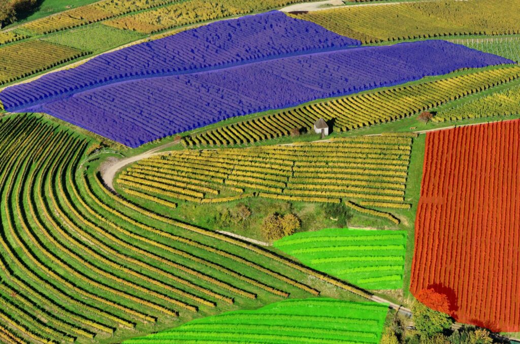 Precision viticulture – eVineyard blog