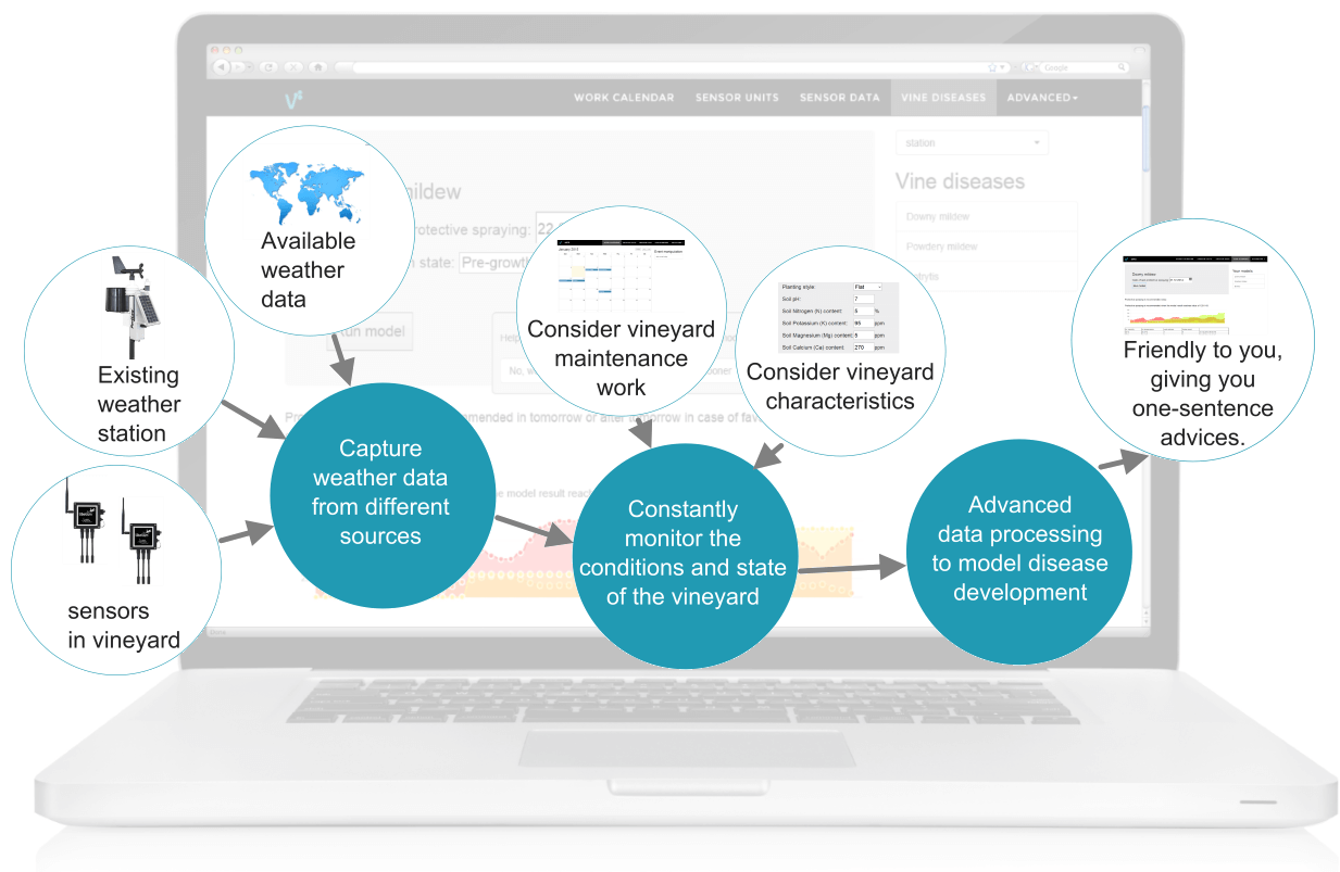 Decision Support System For Integrated Pest Management In The Vineyard Evineyard Blog