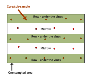 Vineyards Soil sampling guidelines – eVineyard blog