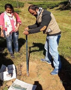 Vineyards Soil sampling guidelines – eVineyard blog