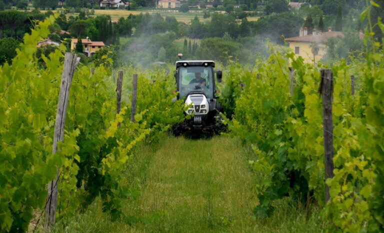 5 tips to optimize spraying in vineyard – eVineyard blog