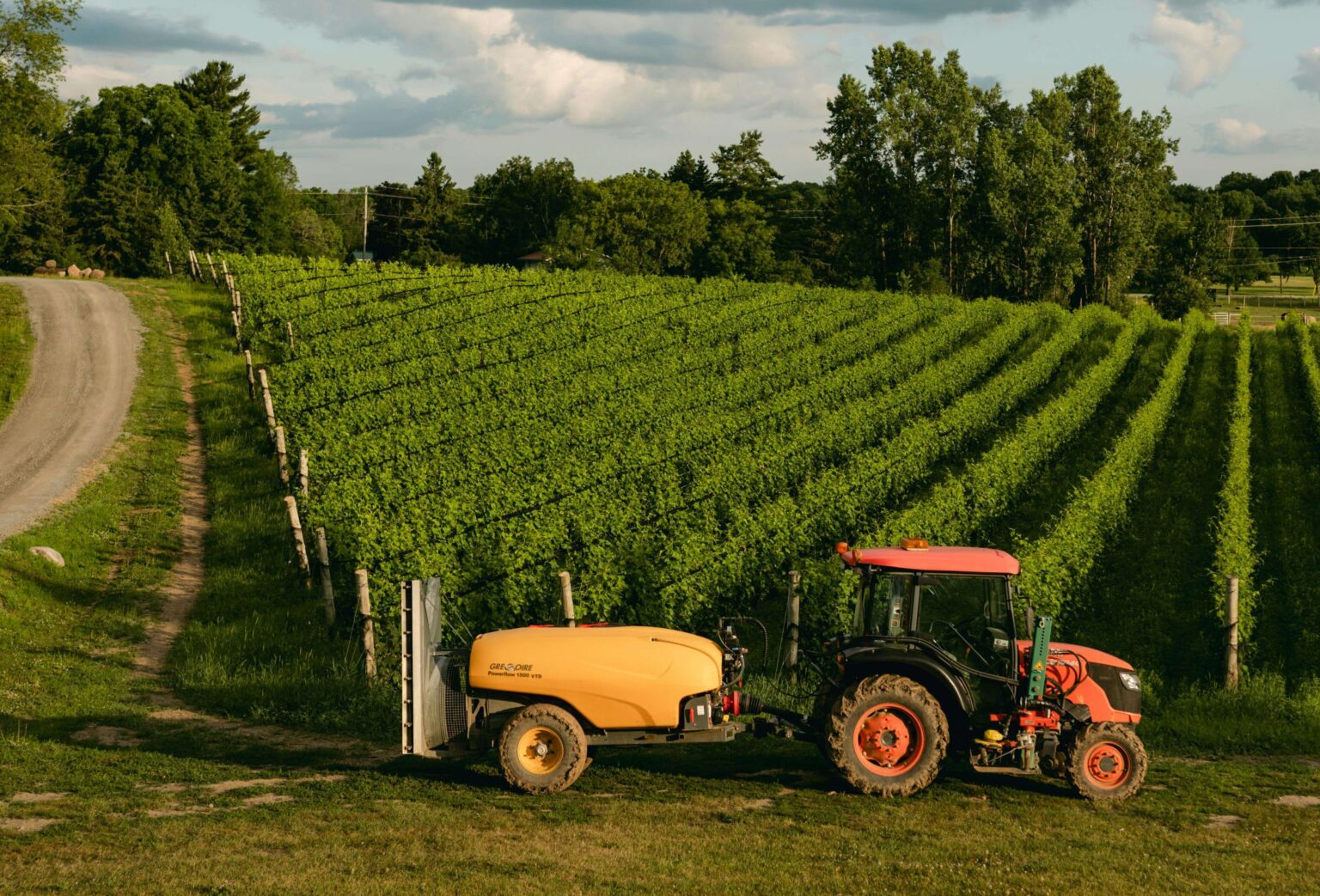 5 tips to optimize spraying in vineyard – eVineyard blog