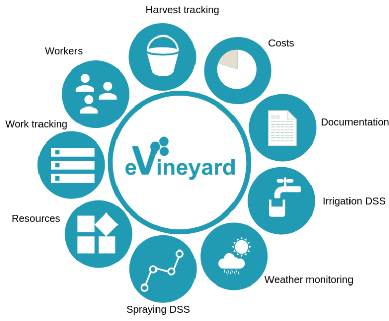 How vineyard management software improves wine business? – eVineyard blog