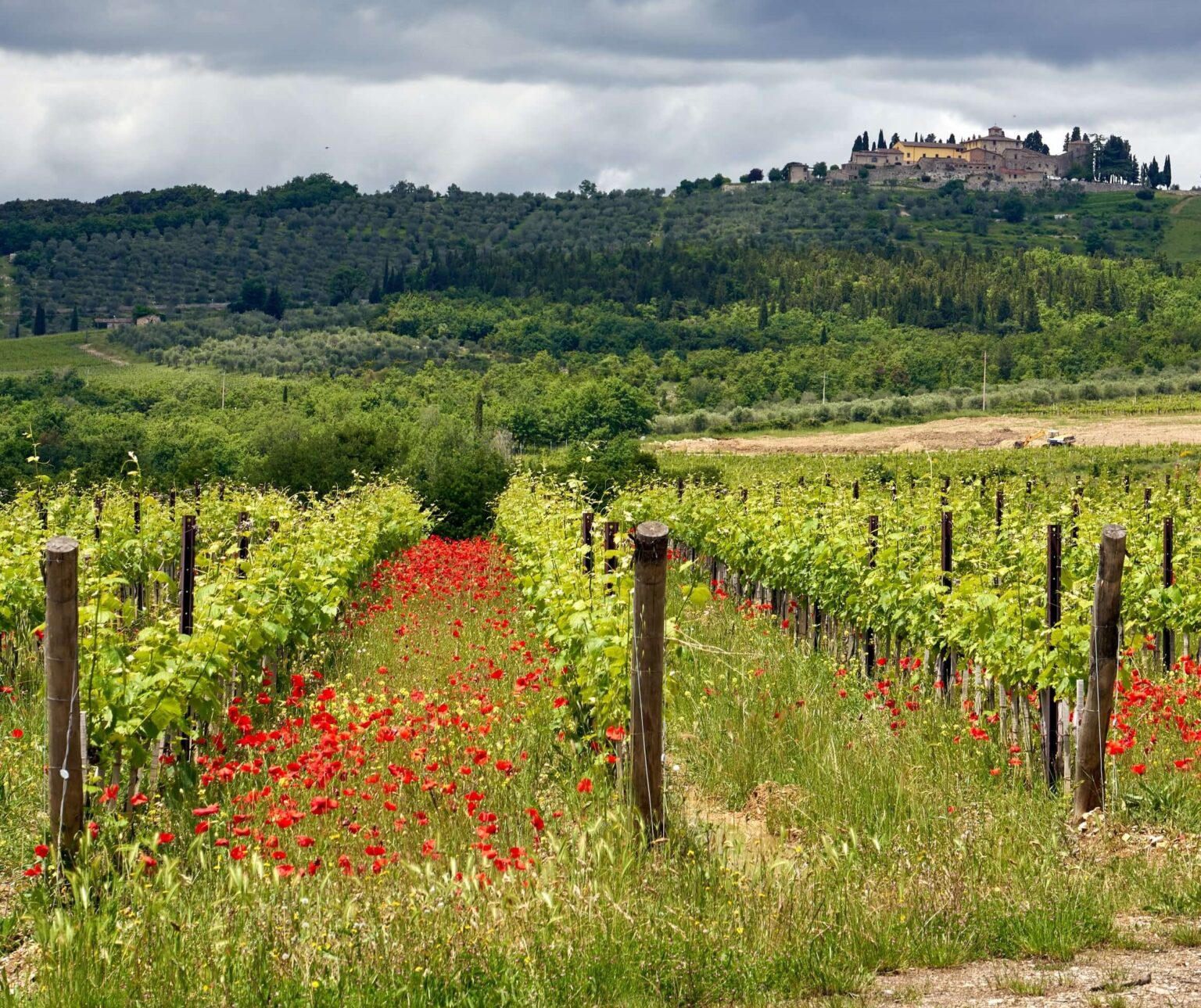 Tips for small family-owned vineyard farms to improve business ...
