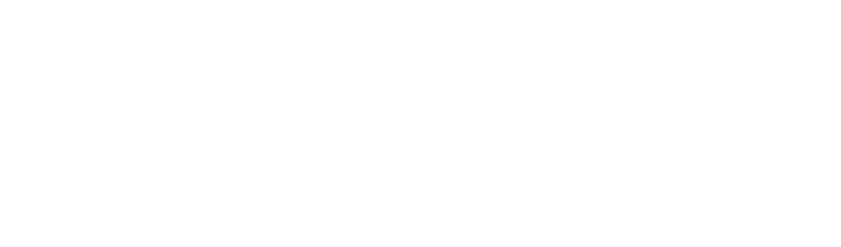 Structure and function of grapevine root system – eVineyard blog