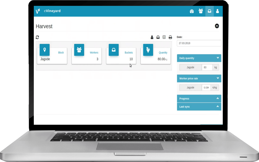 The vineyard management system – eVineyard
