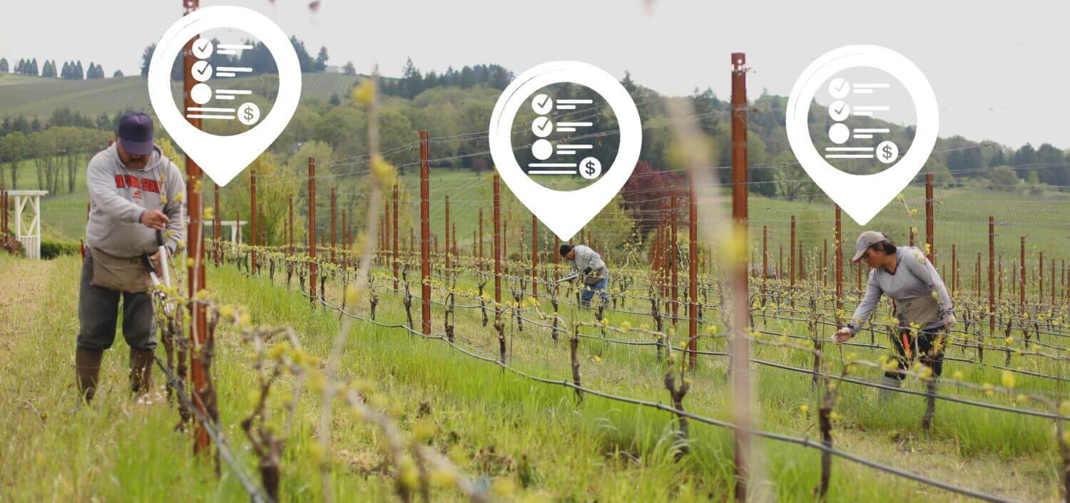 eVineyard Vineyard information management