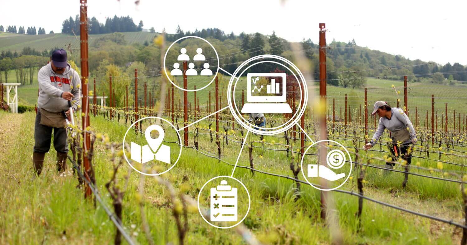 eVineyard Enterprise vineyard management